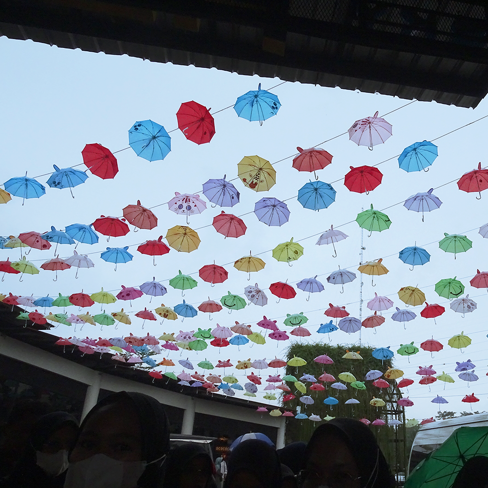 Nur Latif | Portofolio